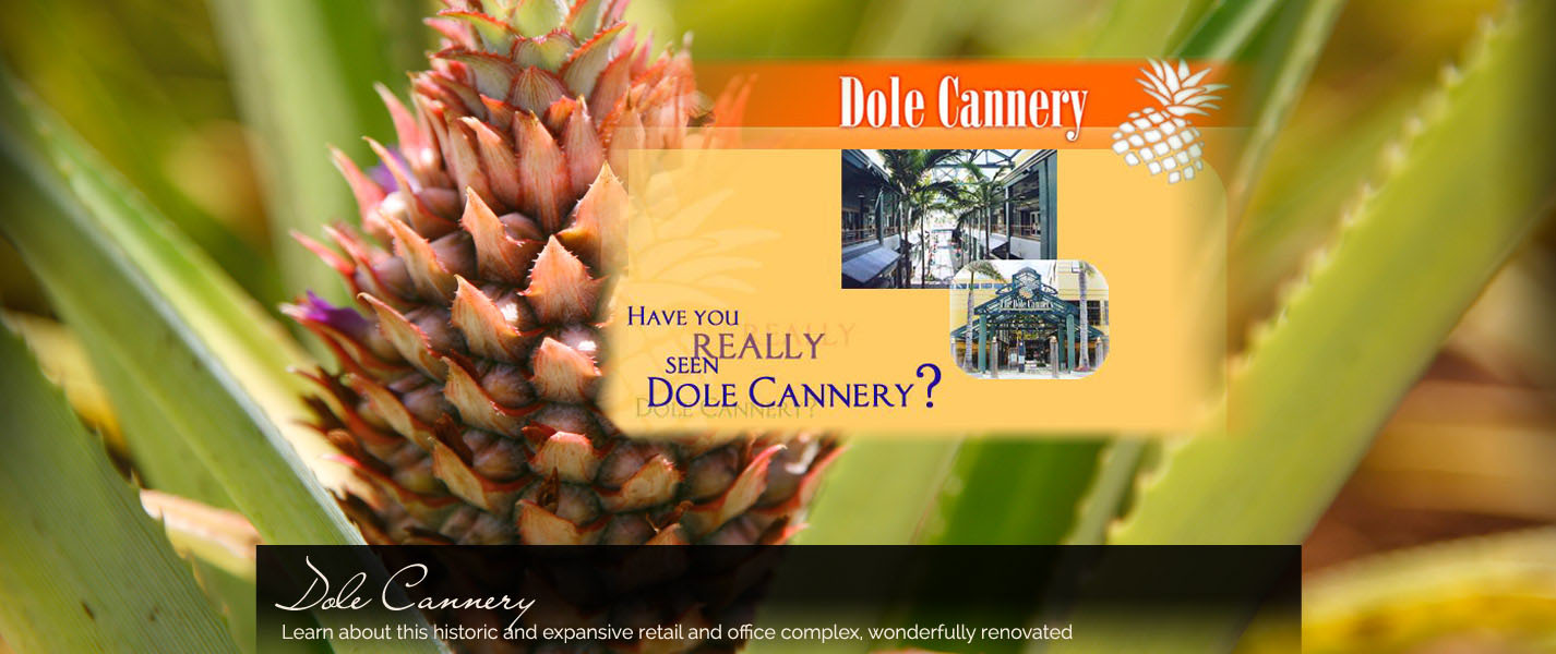 Welcome to Castle & Cooke Hawaii | Castle & Cooke Hawaii